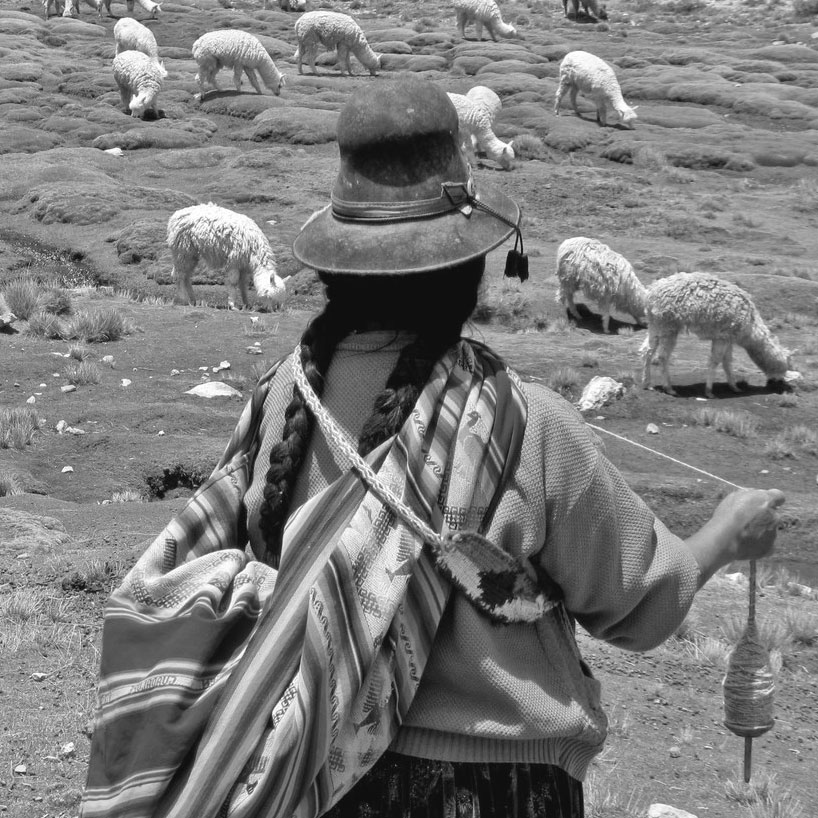 Bio Alpaka Wolle | Kult-Design-Unikate